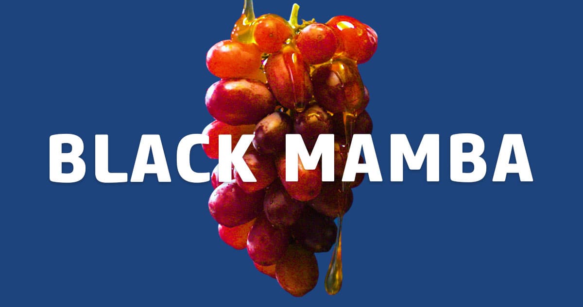 Black Mamba Strain: Effects, Potency, & Terpene Profile | MÜV