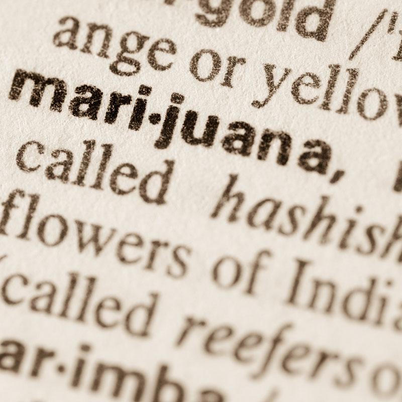 Cannabis Terms from the 1900s to Present | Cannabis Slang