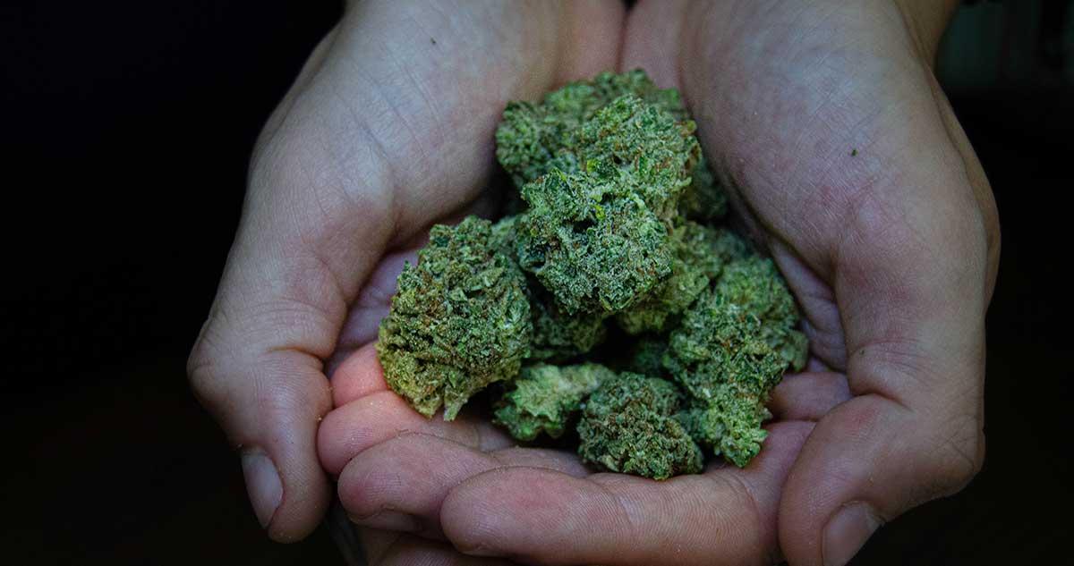 Florida MMJ Renewal Discounts | MÜV