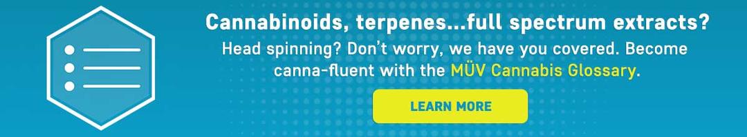 Understanding Cannabis Strain Lineage and Effects | MÜV