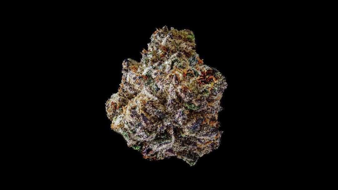 Cannabis Education and Industry News from MÜV FL