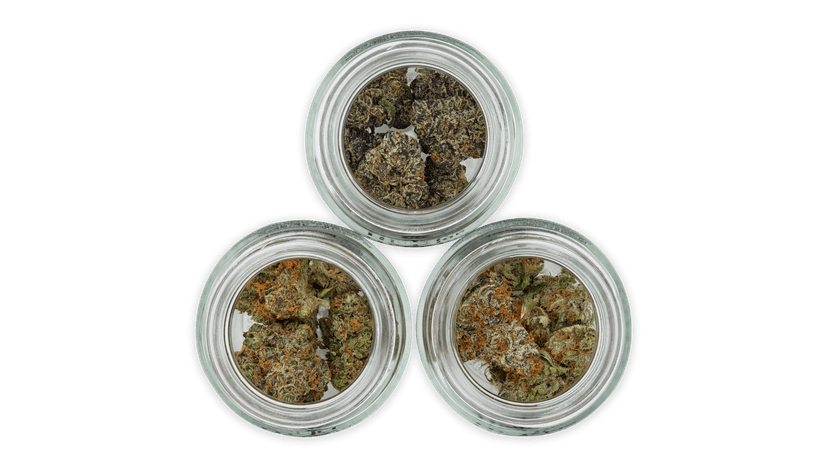 What is Marijuana Flower: Types, Uses, Potency, & More | MÜV