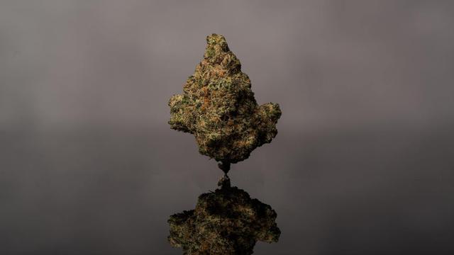 Top 10 CBD Cannabis Strains to Try | MÜV