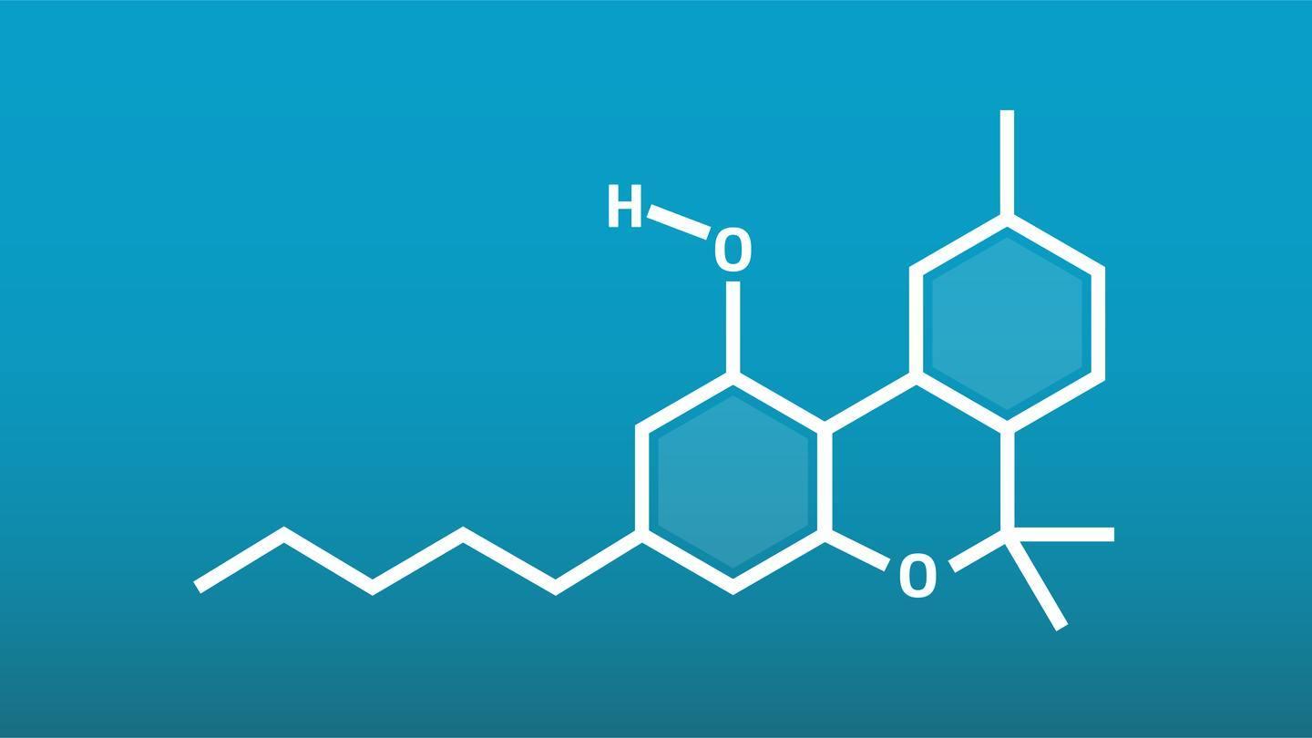 Natural vs. Synthetic Cannabinoids: What's the Difference? | MÜV