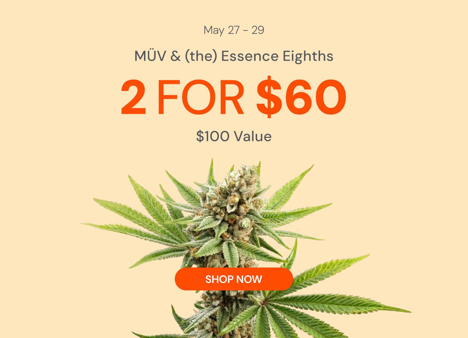 Florida Medical Marijuana Dispensaries | MÜV